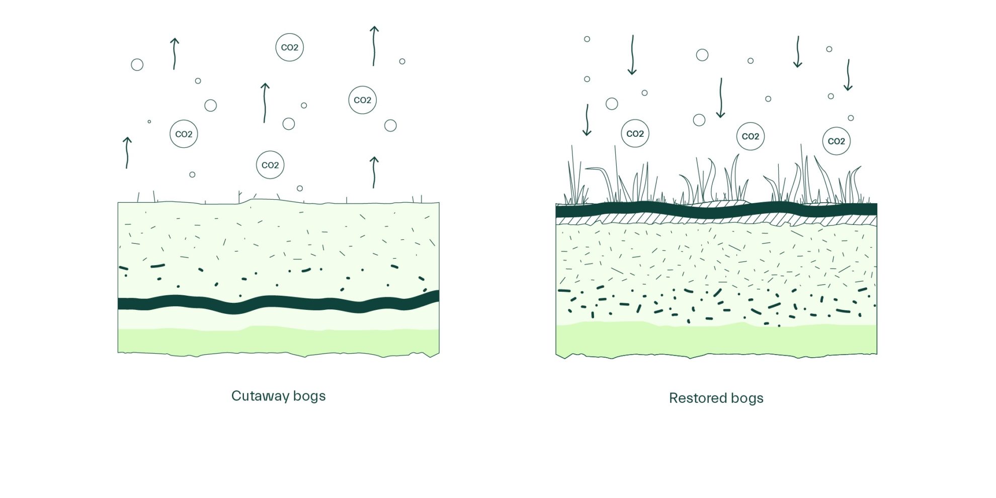 Peatlands & Climate - Bord Na Mona